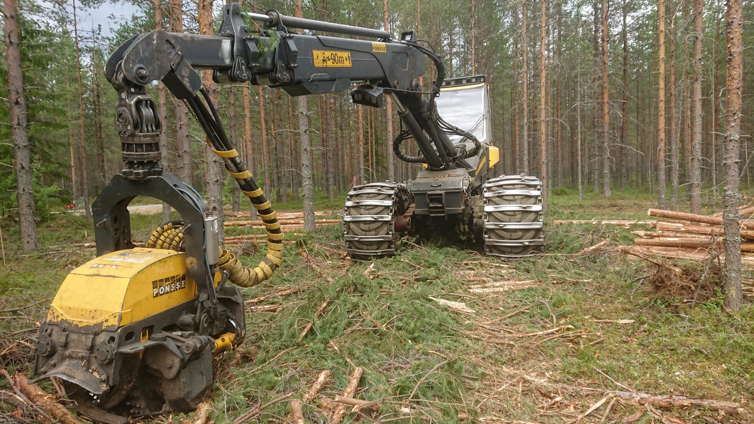 Pelastetaan hiilinielut - vähemmän puuta tehokkaampaan käyttöön - Tiina ...